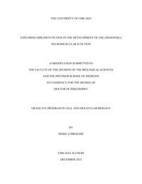 Exploring Dpr-DIP Function in the Development of the Drosophila ...