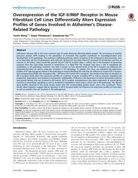 Overexpression of the IGF-II/M6P Receptor in Mouse Fibroblast Cell ...