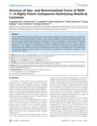 Structure of Apo- and Monometalated Forms of NDM-1—A Highly Potent Carbapenem-Hydrolyzing ...