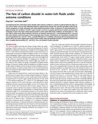 The fate of carbon dioxide in water-rich fluids under extreme conditions