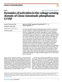 Dynamics of activation in the voltage-sensing domain of Ciona ...
