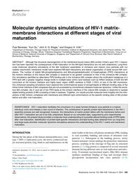 Molecular dynamics simulations of HIV-1 matrix-membrane interactions at ...