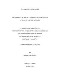 Mechanism of Action of a Signaling Protein DOCK4 in Myelodysplastic ...