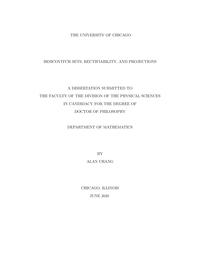 Besicovitch Sets, Rectifiability, and Projections