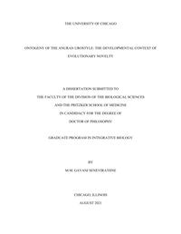 Ontogeny of the Anuran Urostyle: The Developmental Context of ...
