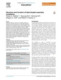 Structure and function of lipid droplet assembly complexes