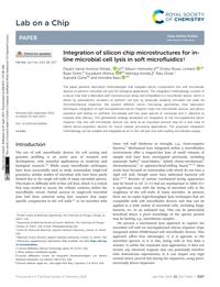 Integration of silicon chip microstructures for in-line microbial cell ...