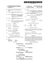 Small molecules inhibitors of RAD51