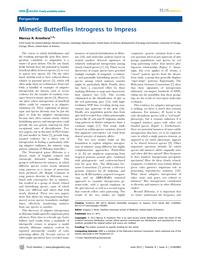 Mimetic Butterflies Introgress to Impress
