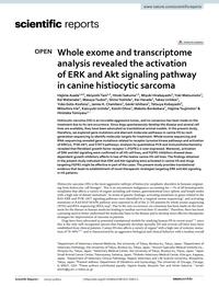 Whole exome and transcriptome analysis revealed the activation of ERK ...