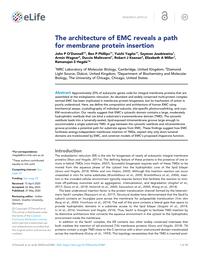 The architecture of EMC reveals a path for membrane protein insertion